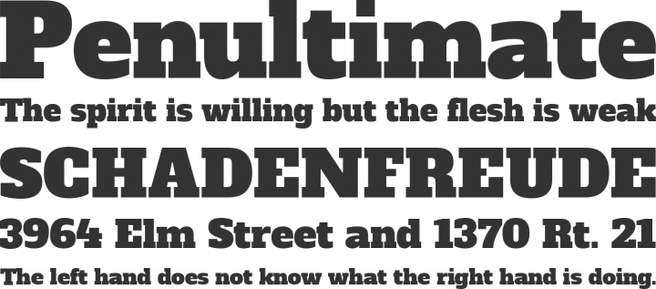 Alfa Slab Font Free by JM Solé | Font Squirrel