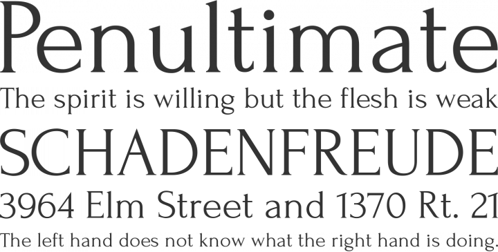 Forum Font Free by Denis Masharov » Font Squirrel