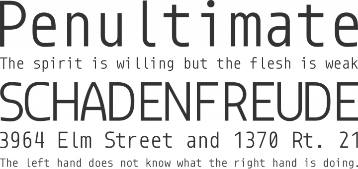Monoid Font Free by Andreas Larsen » Font Squirrel